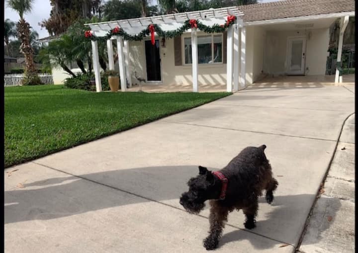 Pack A Bag And Travel Back In Time! - Mount Dora, FL