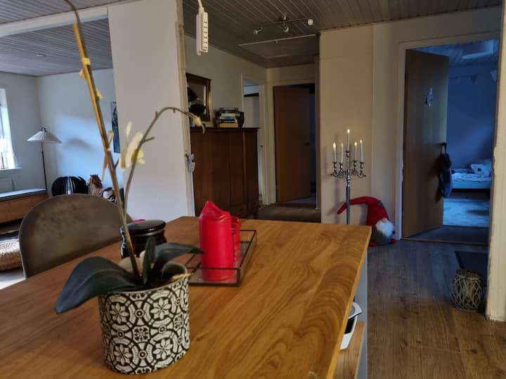 Skøn Lejlighed Med Egen Gårdhave Og Gratis Parkeri - Esbjerg