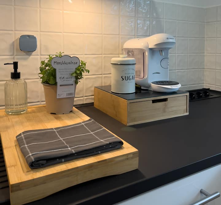 Top! Erholsames Apartment Direkt An Der Elbe - Dresde