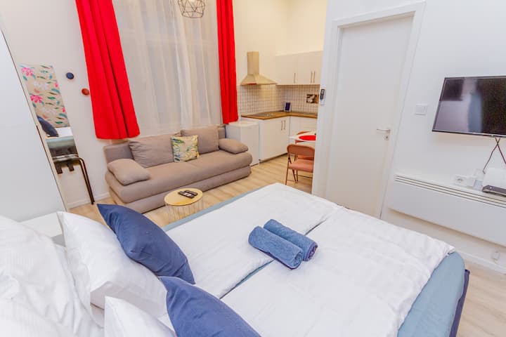 Roth Apartments Studio - Budapest