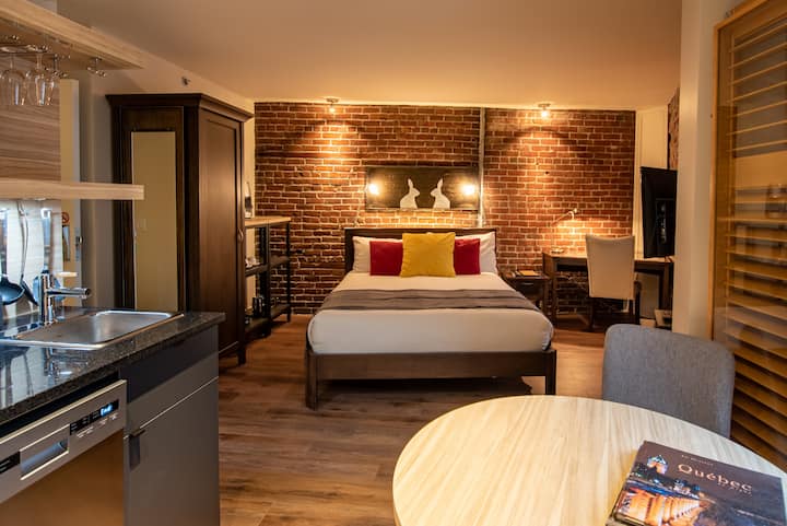 Vieuxquébec/nouvo St-roch Mini Loft - Québec