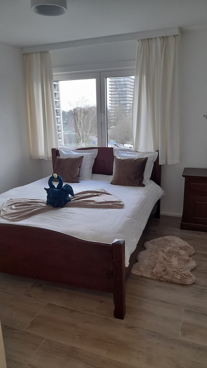 Gezellig Appartement Te Sint Niklaas In België - Saint-Nicolas, Belgique