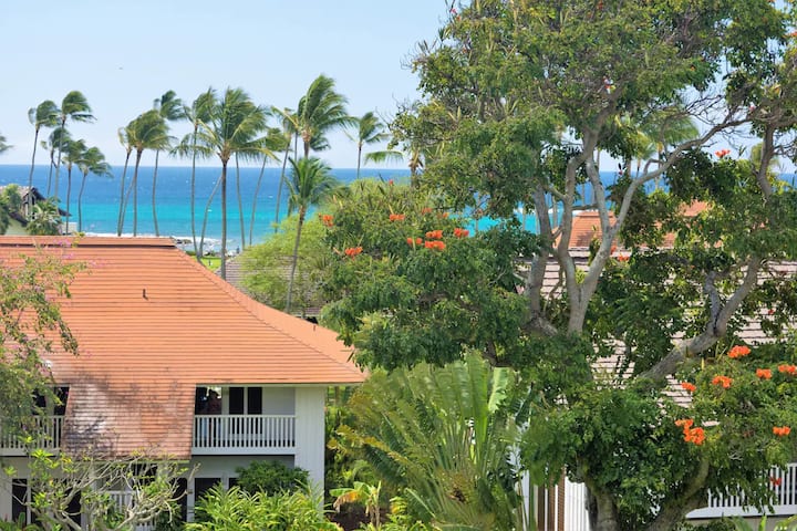 Poipu Ocean View Condo W/ac, 1 Bedroom, Sleeps 4 - Poipu, HI