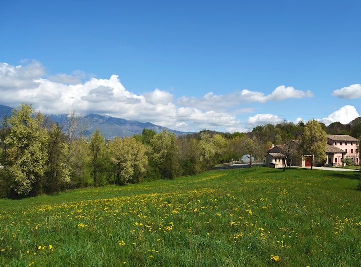Appartamento Immerso Nel Verde Con Camino - Asolo