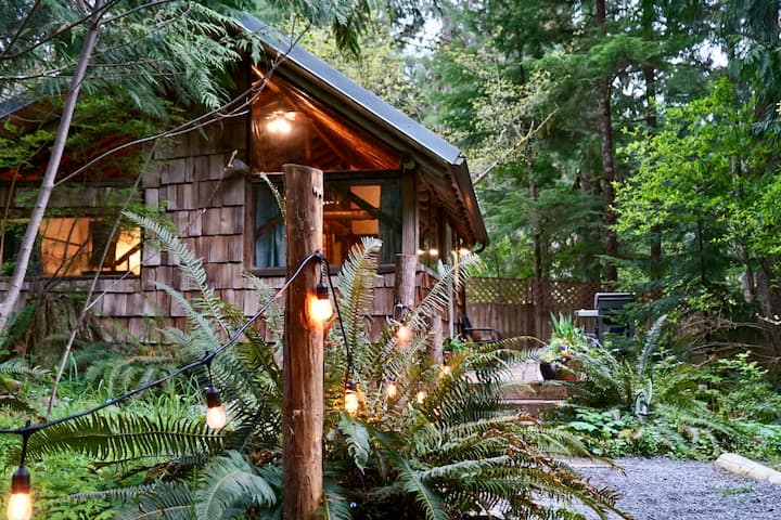 Altimeter Cabin - Sherpa Cabin - Ashford, WA