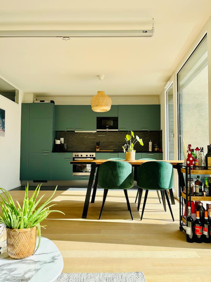 Modern Apt W/ Terrace - Ginebra