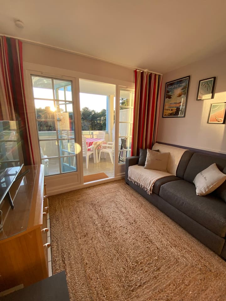 Logement Classé 3 * Wifi Gratuite, Clim, Vue Golf - Messanges