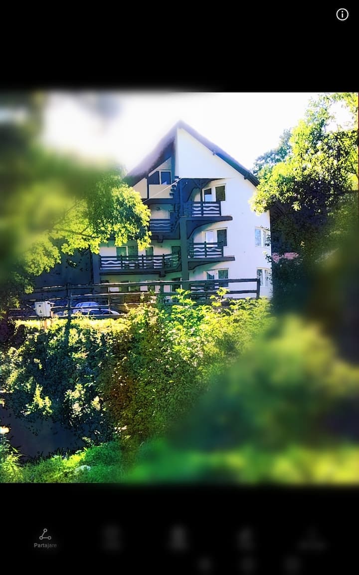 Castelul ȘImonean Se Află îNtr-o Zonă Deosebită. - Bran