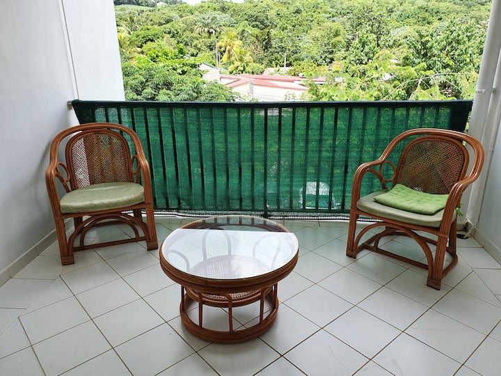 Logement Chaleureux Près Des Commodités Et Du Chu - Martinique