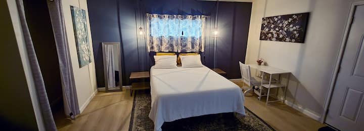 Adorable Studio -Mins. From Downtown & Galleria- - Bellaire, TX