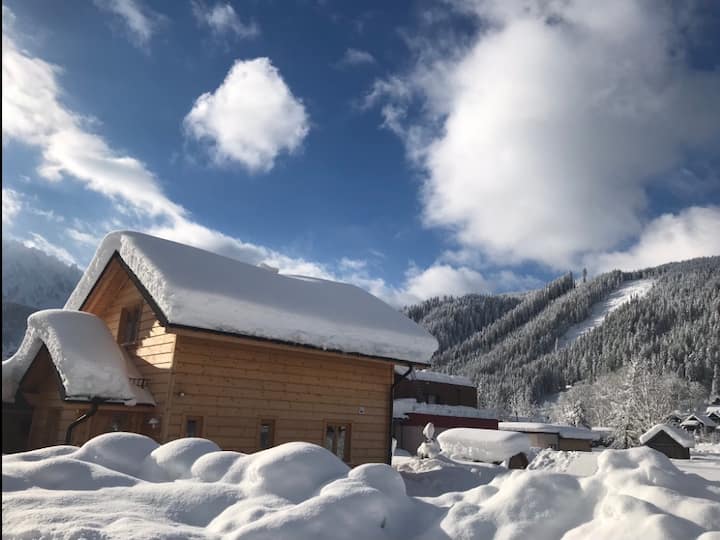 Uriges Holzhaus Mit Sauna, Nahe Am Ski-lift - Gosau
