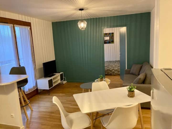 Annecy T2 Face Aux Montagnes Style Scandinave - Annecy