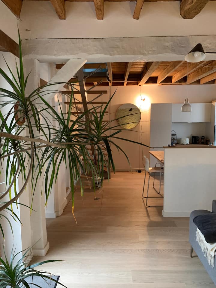 Maison Chaleureuse Avec Patio En Centre Ville - オルレアン