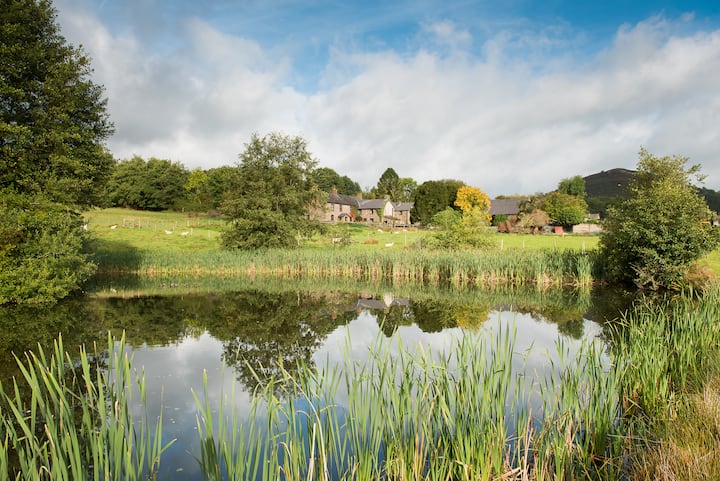 Smithy’s Bunkhouse - Abergavenny