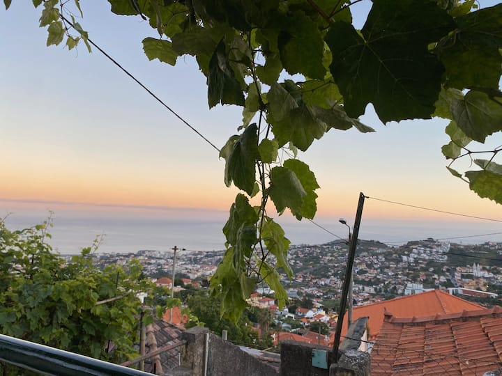 Holy View - Ribeira Brava