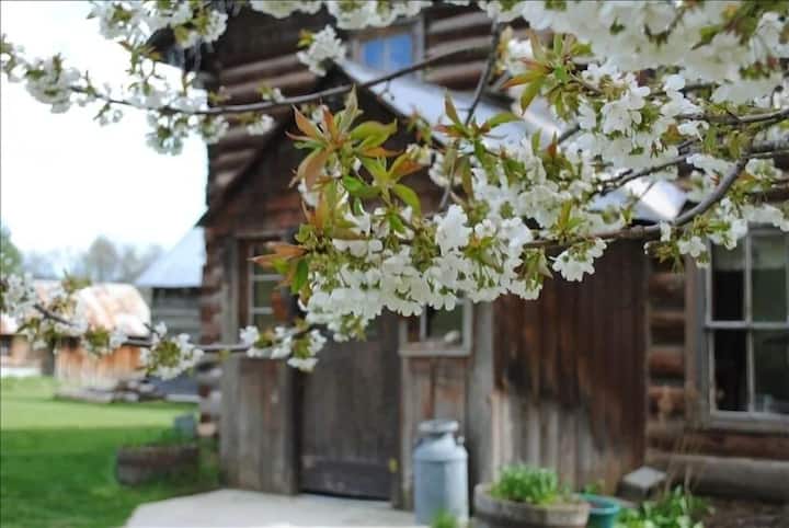 Historic Property ~ The Brown Family Homestead - Lake Chelan, WA
