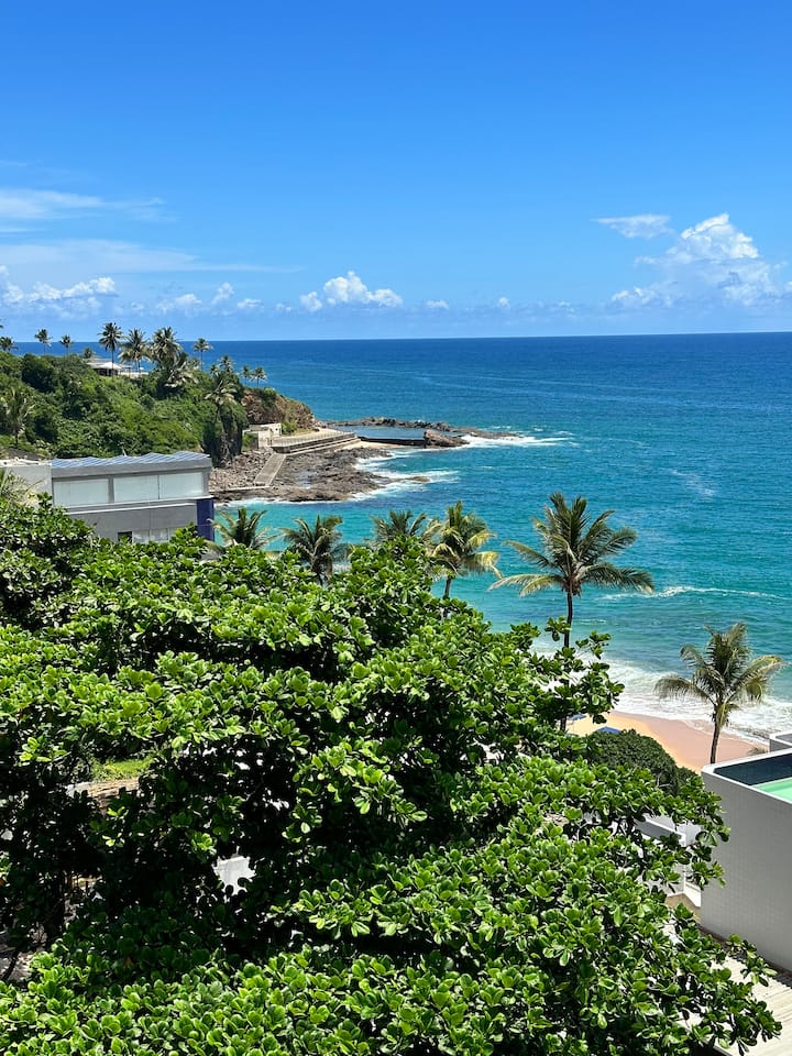Fantastic Ocean View In Salvador - Salvador