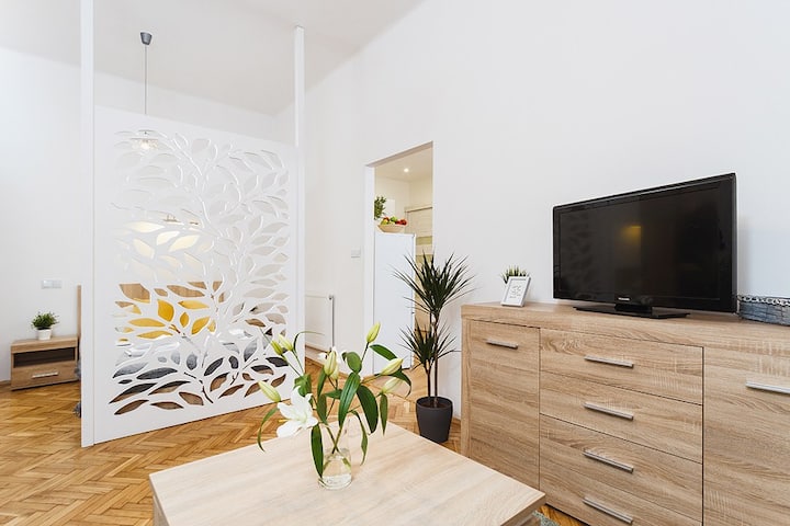 1 Bedroom Apartment - Starowiślna 54 - Krakau