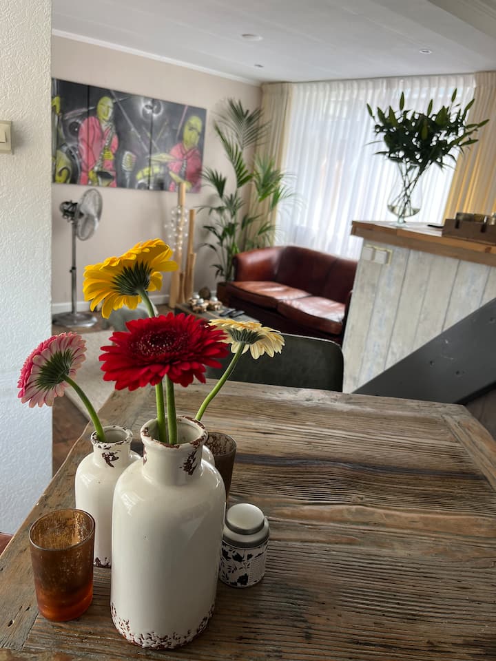 Zomerhuisje 22 @ The Beach - Egmond aan Zee