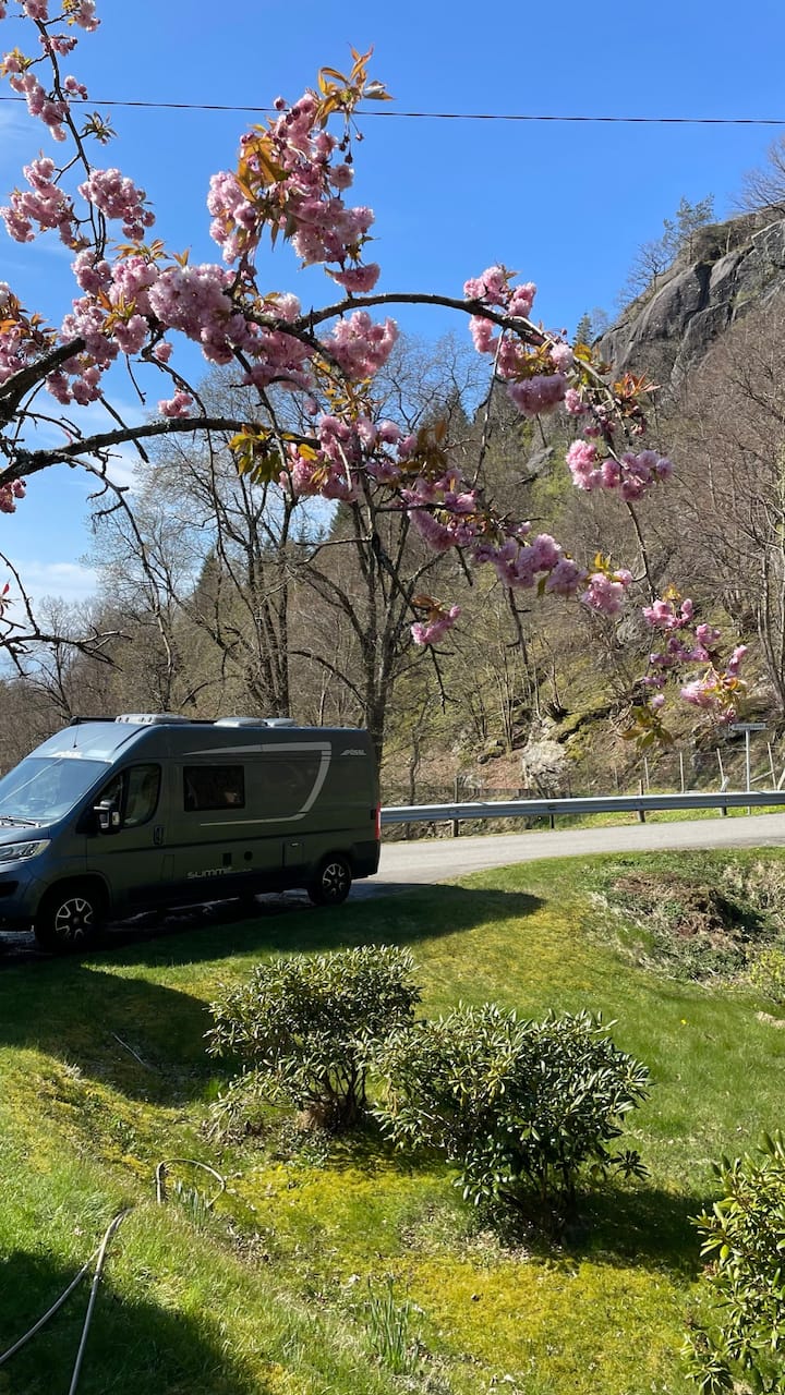 Superkoselig Småbruk Med  Havutsikt - Flekkefjord