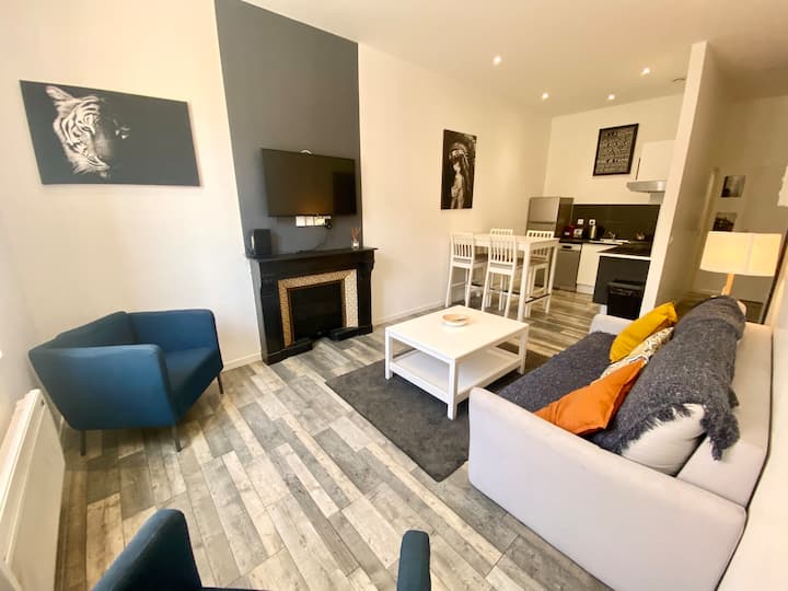 Spacieux Appartement En Centre-ville De Grenoble - Grenoble
