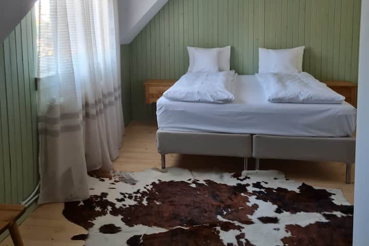 Cheerful 5 Bedroom Villa With Indoor Fire Place - Beliș