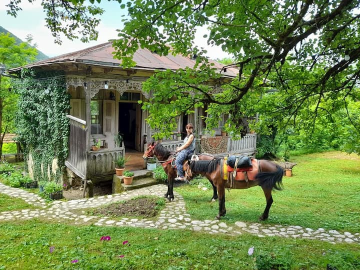 Parna's Museum House - Georgia