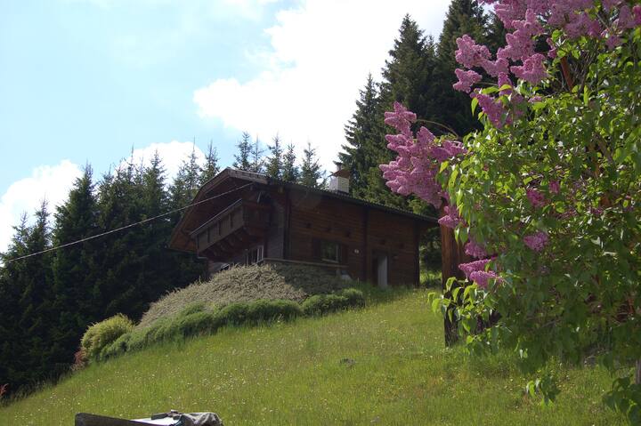 Ferienhaus Klein Edner, Erholung Pur! - Logarska Dolina