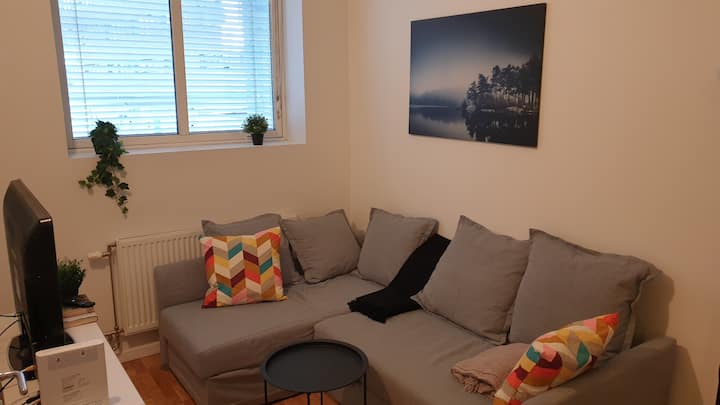 Cozy 1 Bedroom Apartment In Oslo Sentrum - Oslo