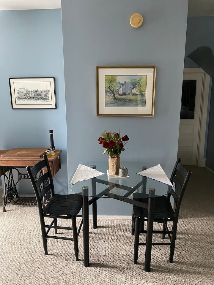 Lovely Spacious Apartment, 4 Blocks From Broadway - Saratoga Springs, NY