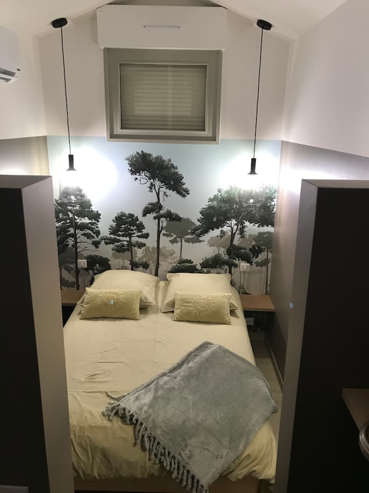 Rare : Superbe Maison Centre-ville - ibis Thonon Centre