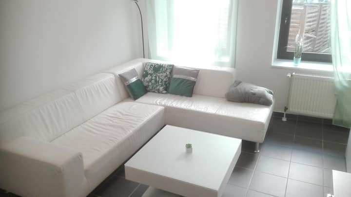 Ruhige Zweizimmerwohnung In Zentraler Lage - Magdeburg