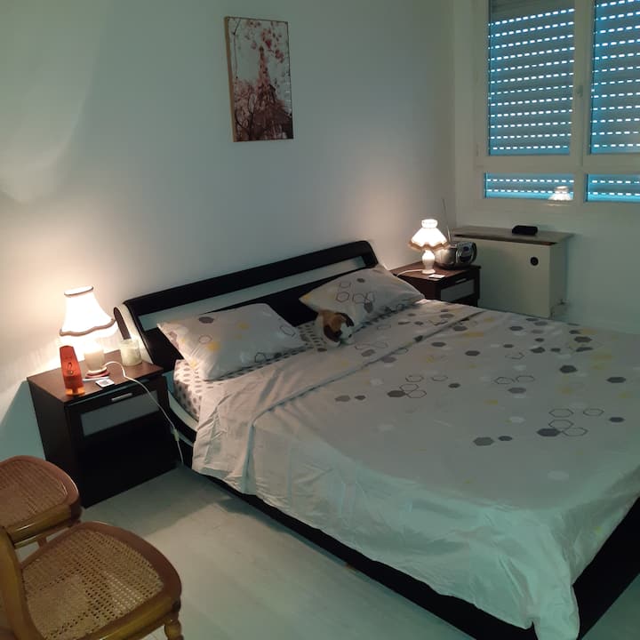 Superbe  Appartement De  4 Pièces  Meublée - Vierzon