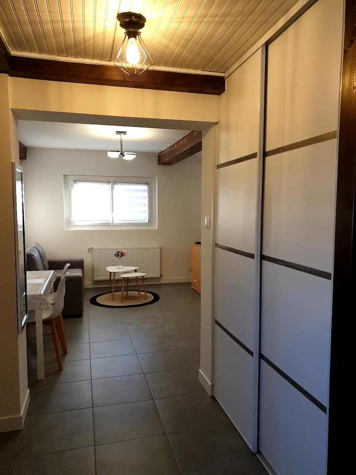 Ravissant Appartement Au Rc D'une Maison - Tarbes