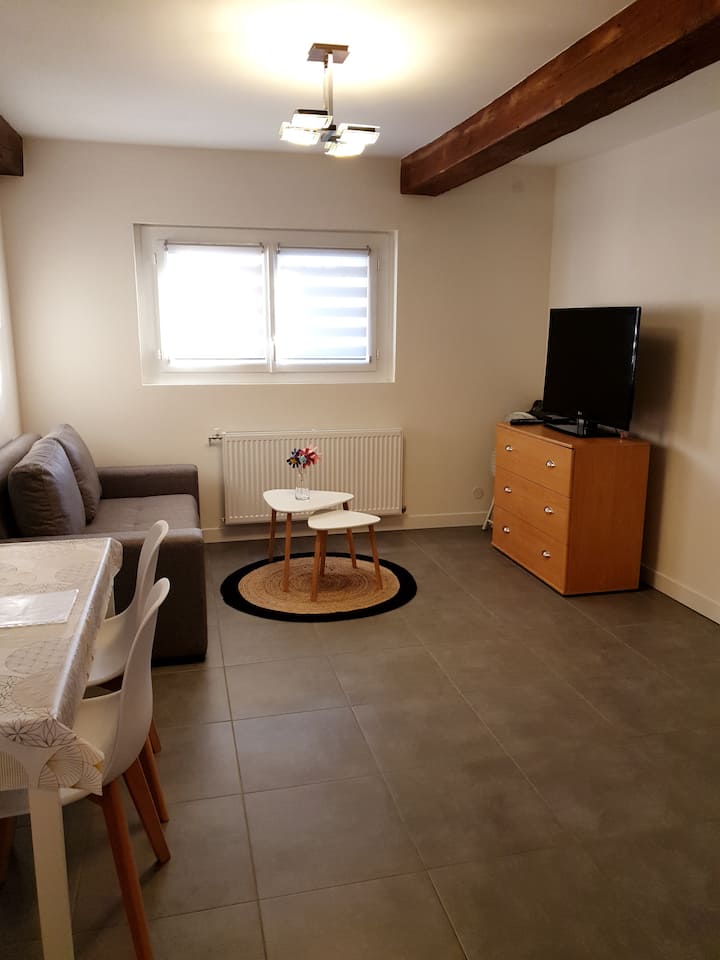 Ravissant Appartement Au Rc D'une Maison - Tarbes