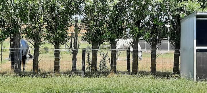 Aberfields Guest Apartment- Farm Stay City Verge - Christchurch
