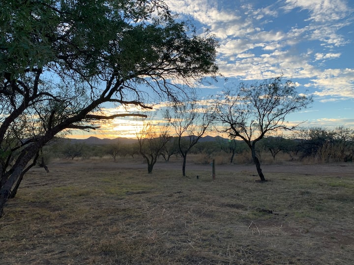 Arivaca Holiday Rentals & Homes - Arizona, United States | Airbnb