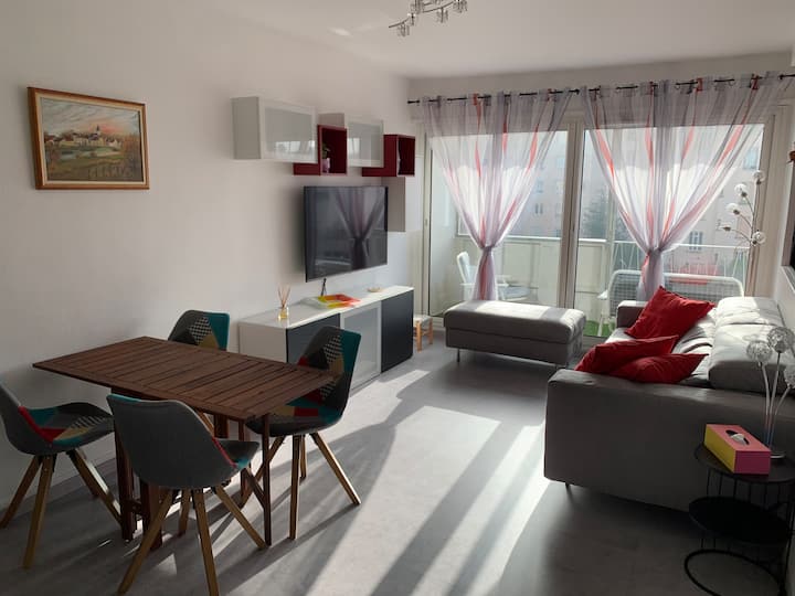 Appartement Entier Proche Monplaisir - Lyon 8 - Lyon