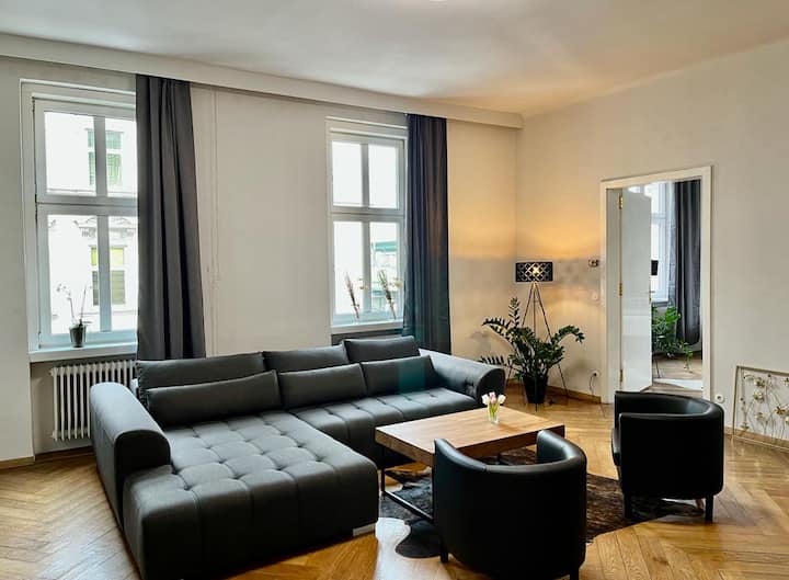 Beautiful City Centre Apartment - Viena