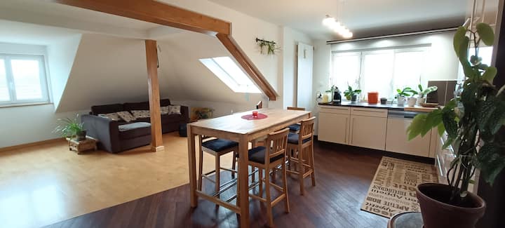 Logement Entier Au Calme - Illzach