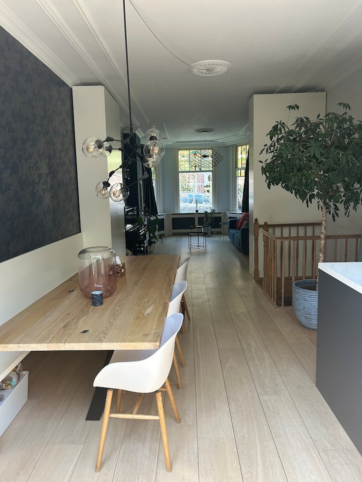 Great House Near Beach - Den Haag