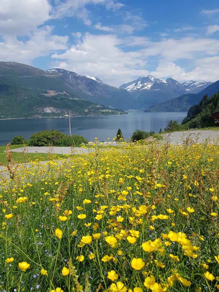 Panoramic Fjord Views And Natural Light - Loen
