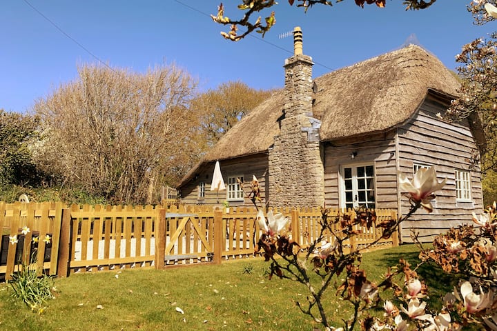 The Music Room Traditional Purbeck Thatch Cottage - Corfe Castle