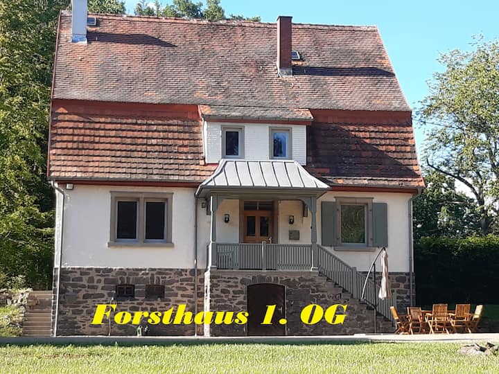 Forsthaus Am Waldrand  1. Og - Nidda