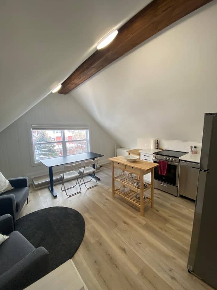 Bright 1-bedroom Loft - 해밀턴