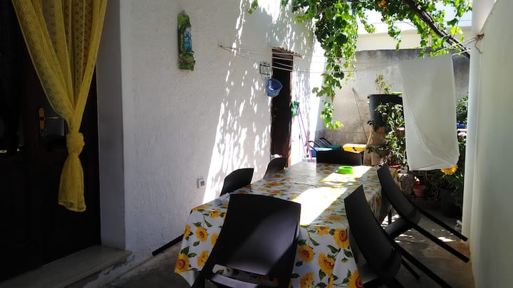 Bilocale Vite Verde Cir19081020c214272 - San Vito Lo Capo