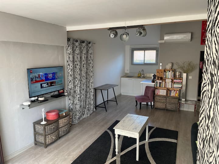 Appartement Studio Spacieux - Gruissan