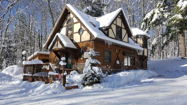 Cozy & Rustic 3 Bdr Chalet W/ Plenty Of Privacy! - Salamanca, NY