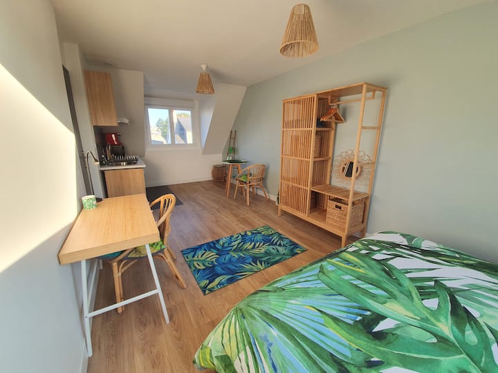Studio Relax Exotic, Iut, Fac Et Ifps à Pied - Langueux