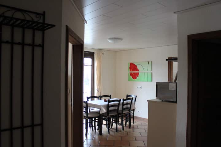 Apartment 4 - (Pension Vanii) - 魯斯特